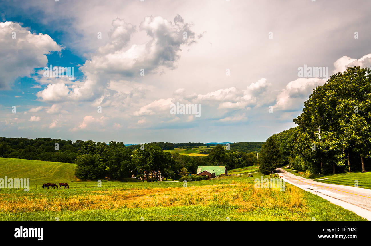 Pennsylvania farm animals hi-res stock photography and images - Alamy