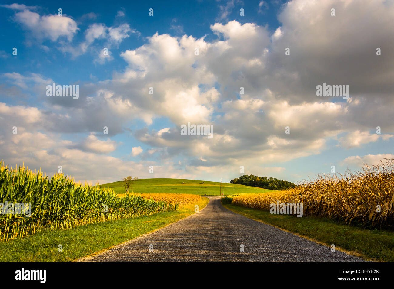 Grove hill road hi-res stock photography and images - Alamy