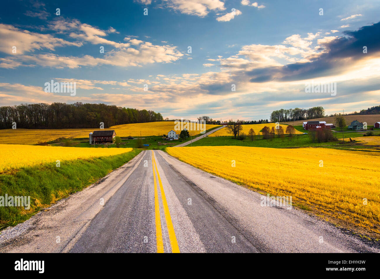 Country road through farm fields and rolling hills in rural York County ...