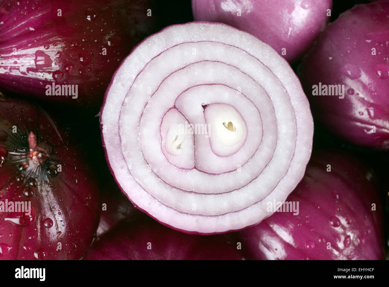Red onion background close up full frame Stock Photo - Alamy