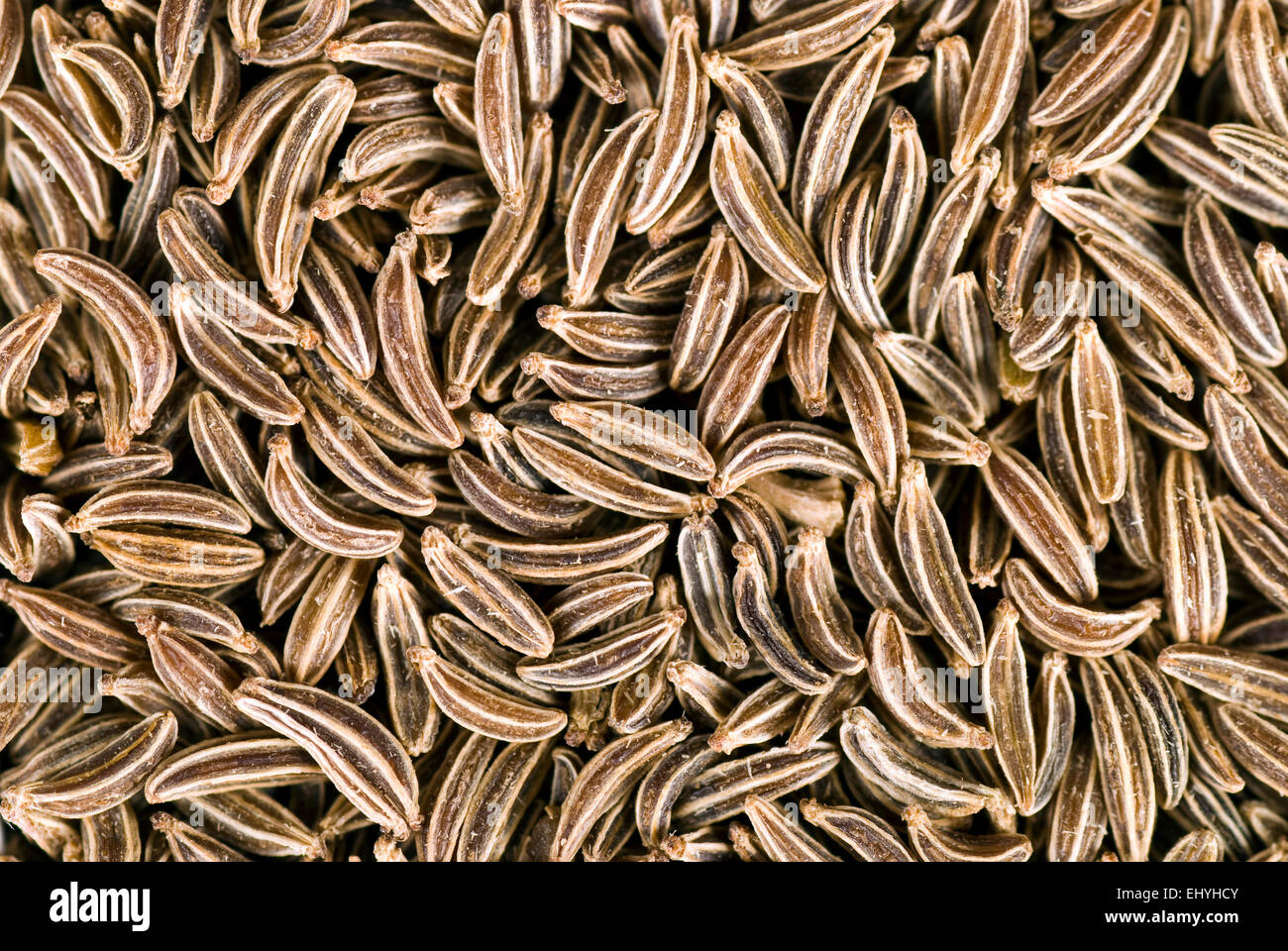 Cumin close up hi-res stock photography and images - Alamy