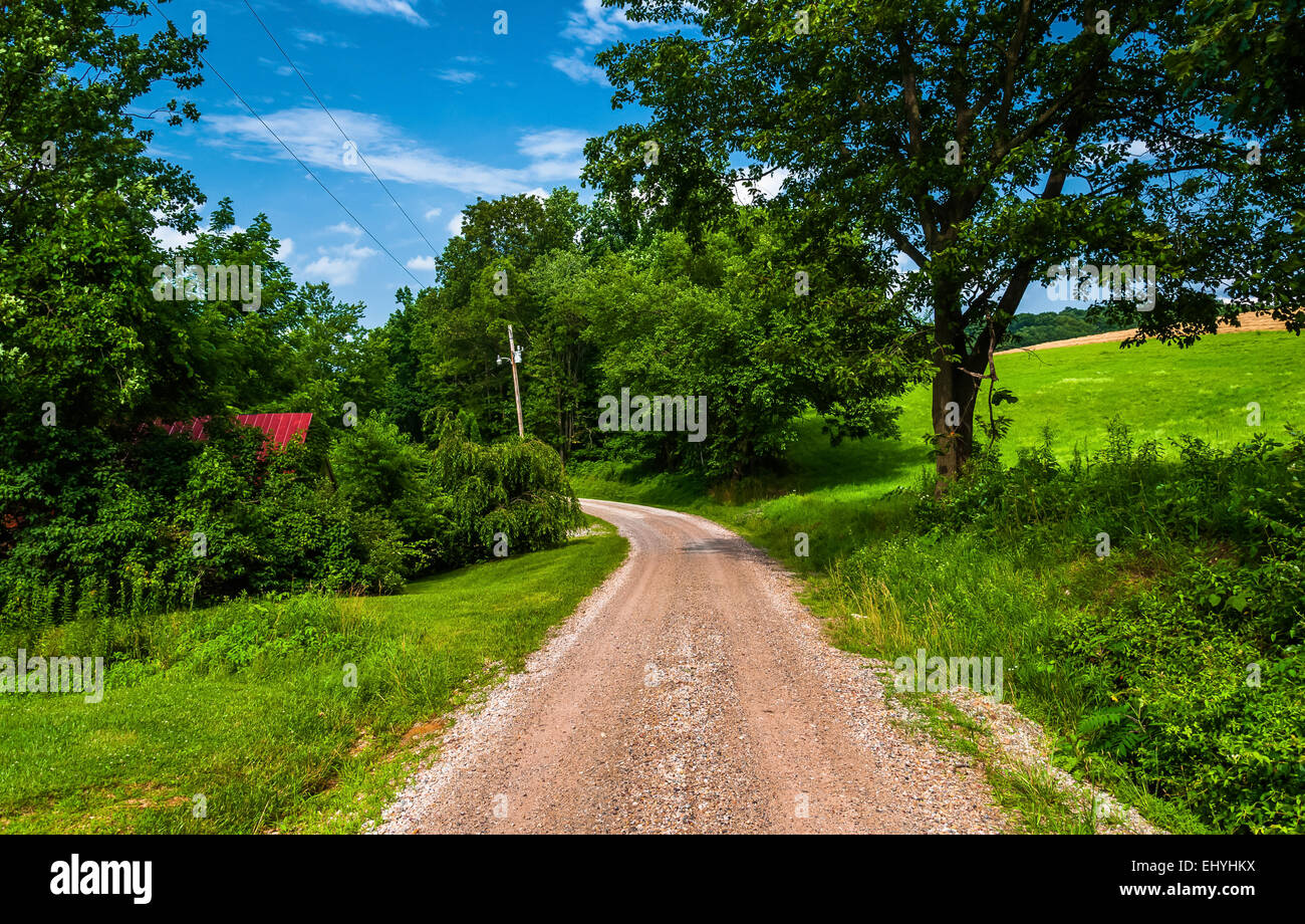 Pennsylvania forest road hi-res stock photography and images - Alamy