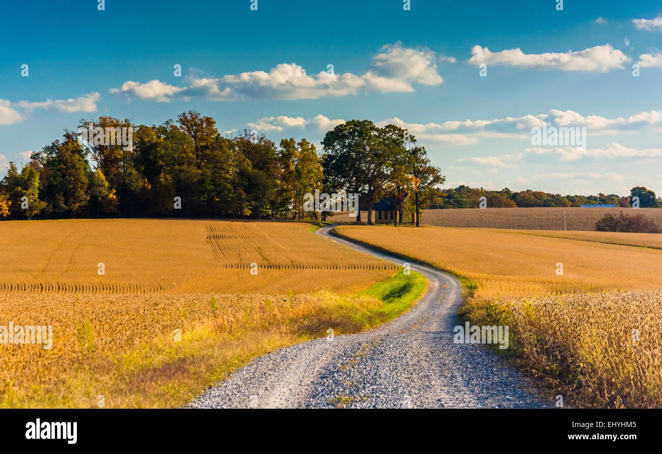Dirt road through farm fields in rural York County, Pennsylvania Stock ...
