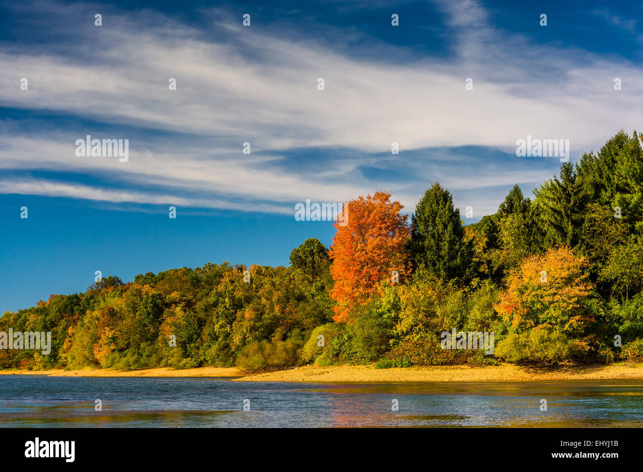 Early autumn color on the shore of Lake Marburg, in Codorus State Park ...