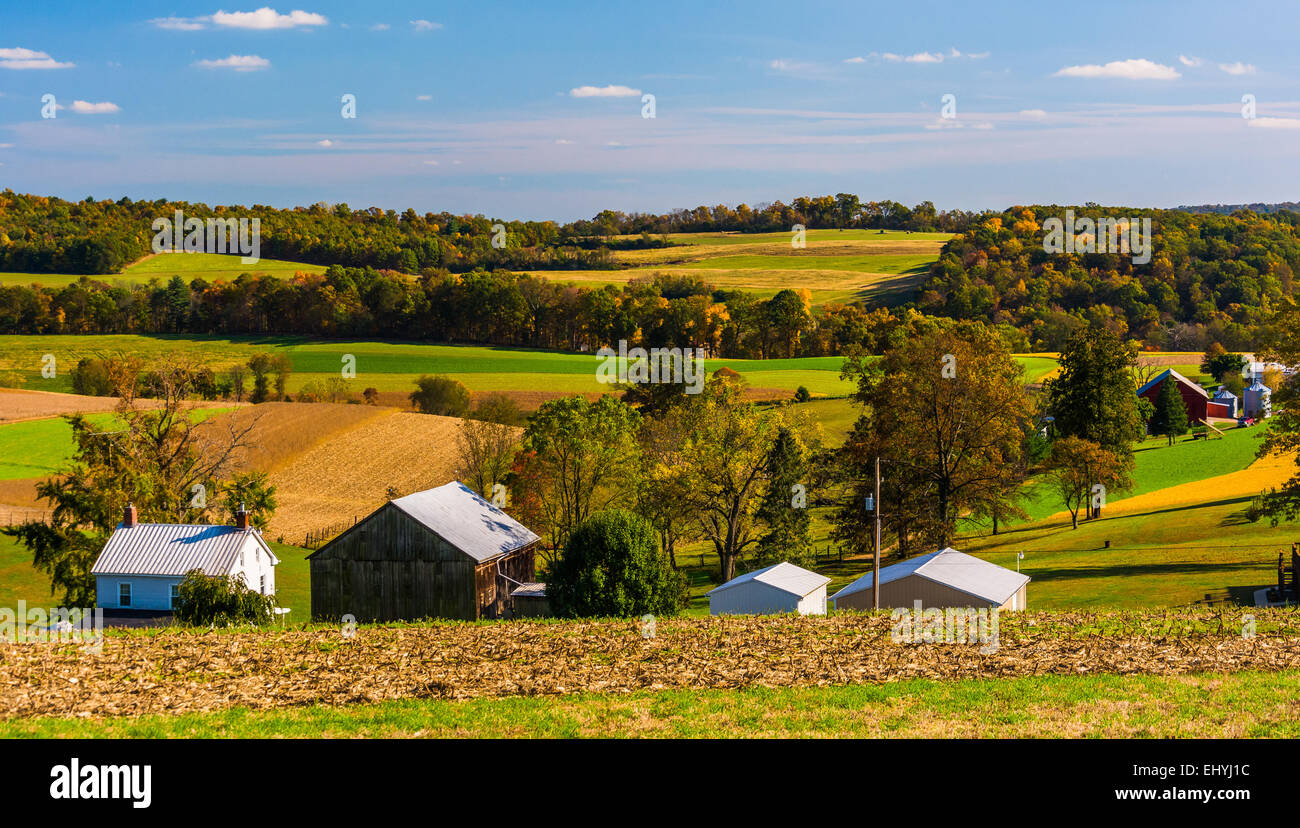 Early autumn view of farms in rural Southern York County, Pennsylvania ...