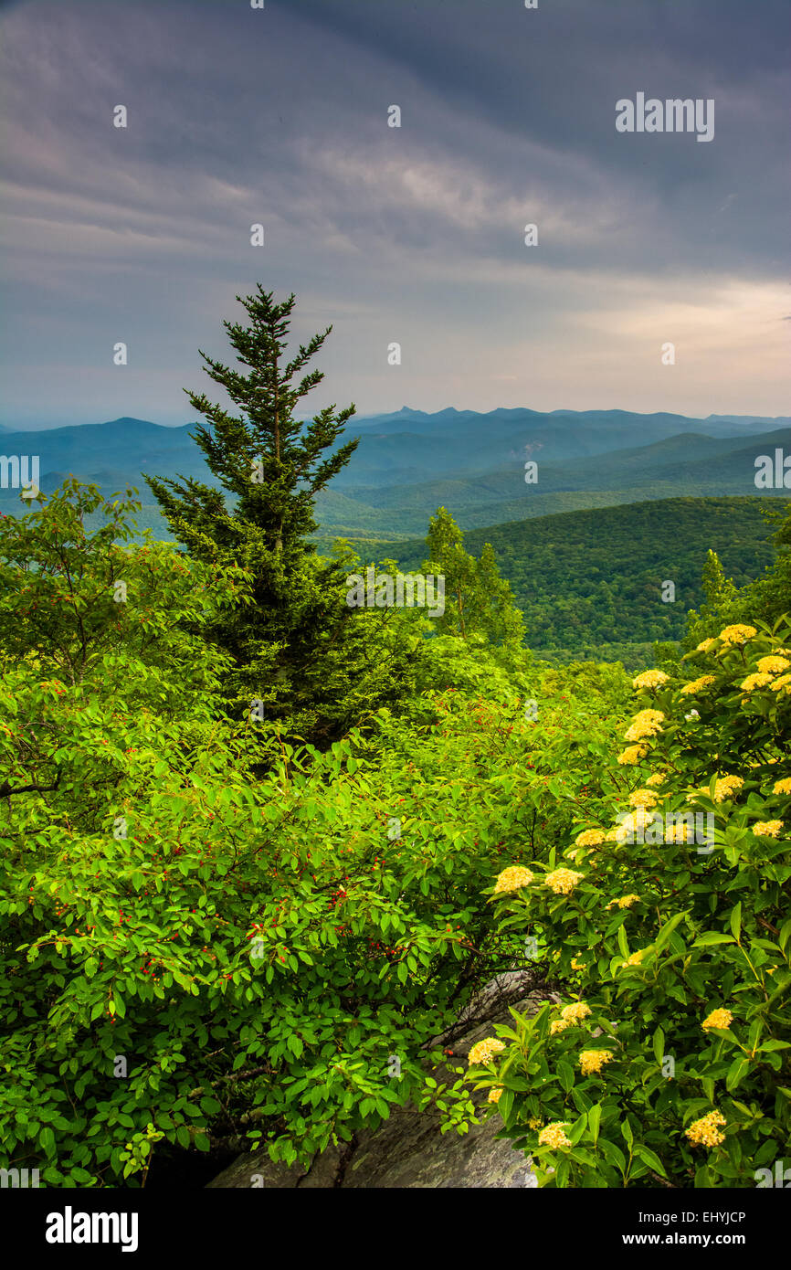 Rough ridge hi-res stock photography and images - Alamy