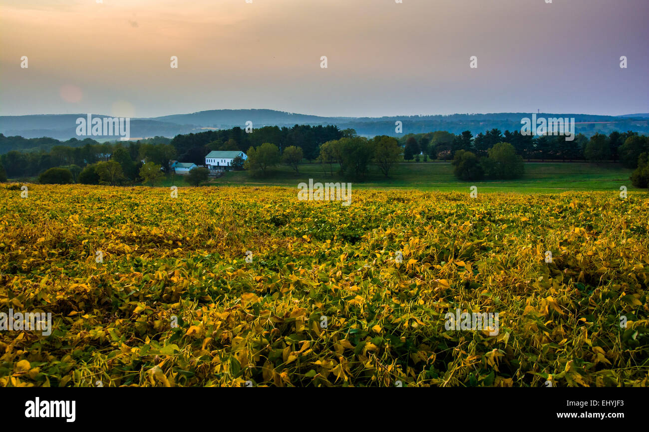 Farm field and view of the Piegon Hills near Spring Grove, Pennsylvania ...