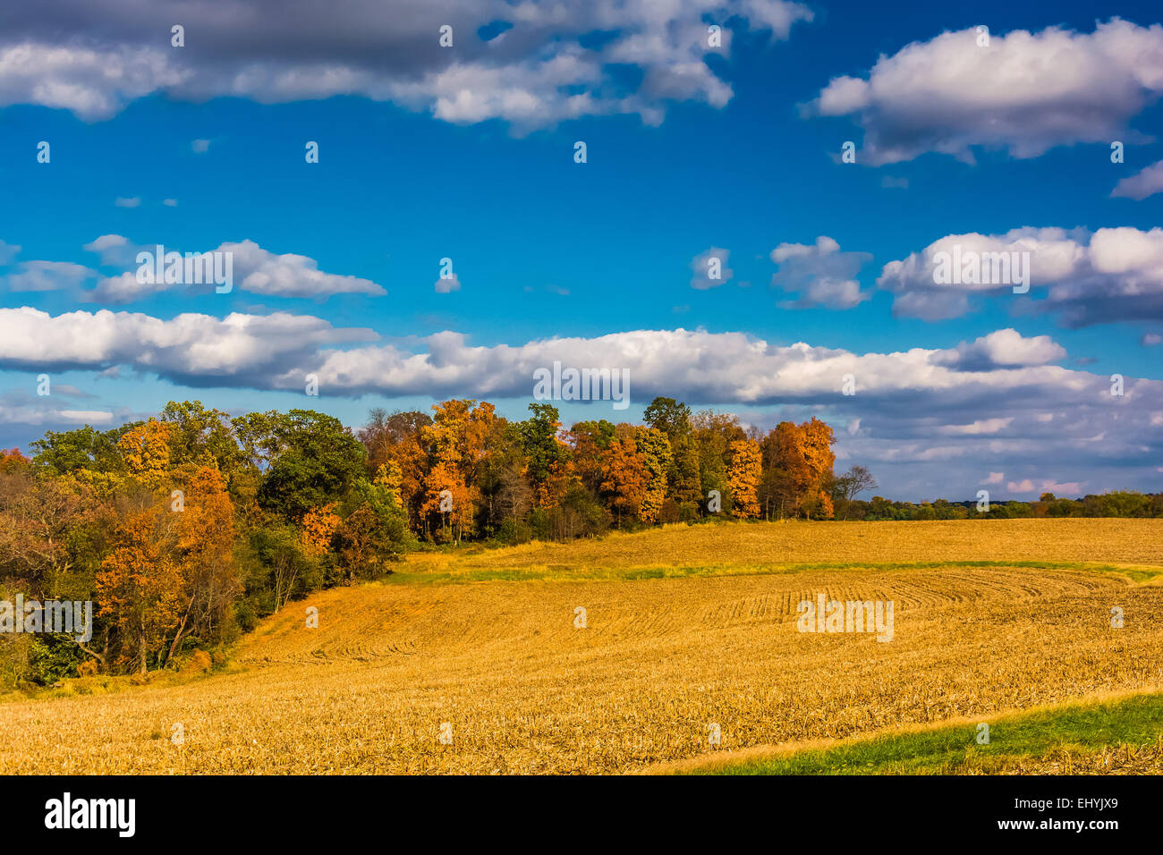 Pennsylvania farm fall autumn hi-res stock photography and images - Alamy