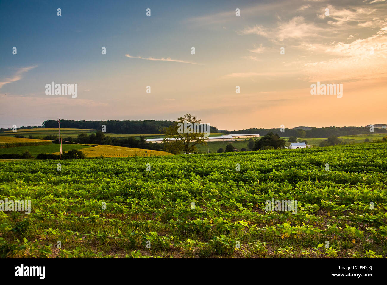 Agriculture rolling field farming hi-res stock photography and images ...