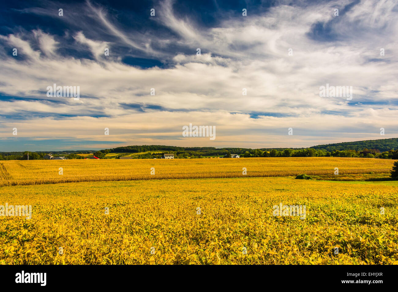 Pennsylvania agriculture hi-res stock photography and images - Alamy