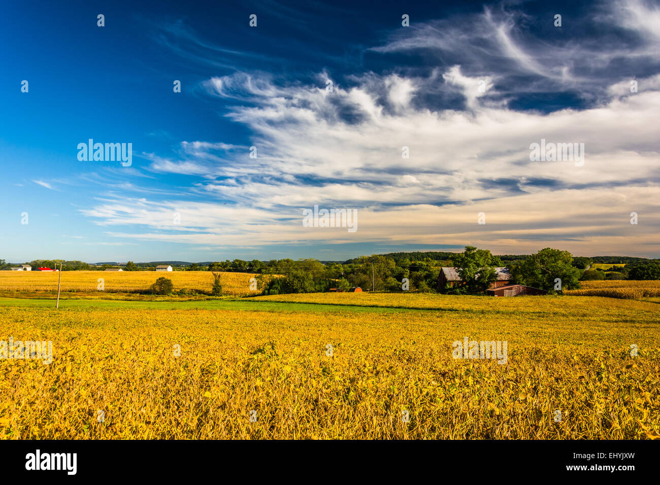 Pennsylvania farm fields in hill country hi-res stock photography and ...