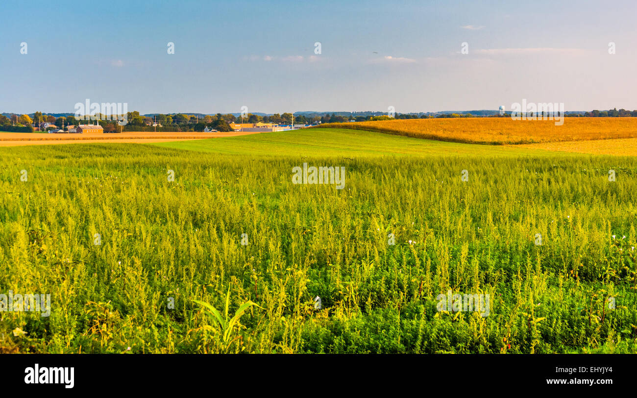 Farm fields and rolling hills near Hanover, Pennsylvania Stock Photo ...