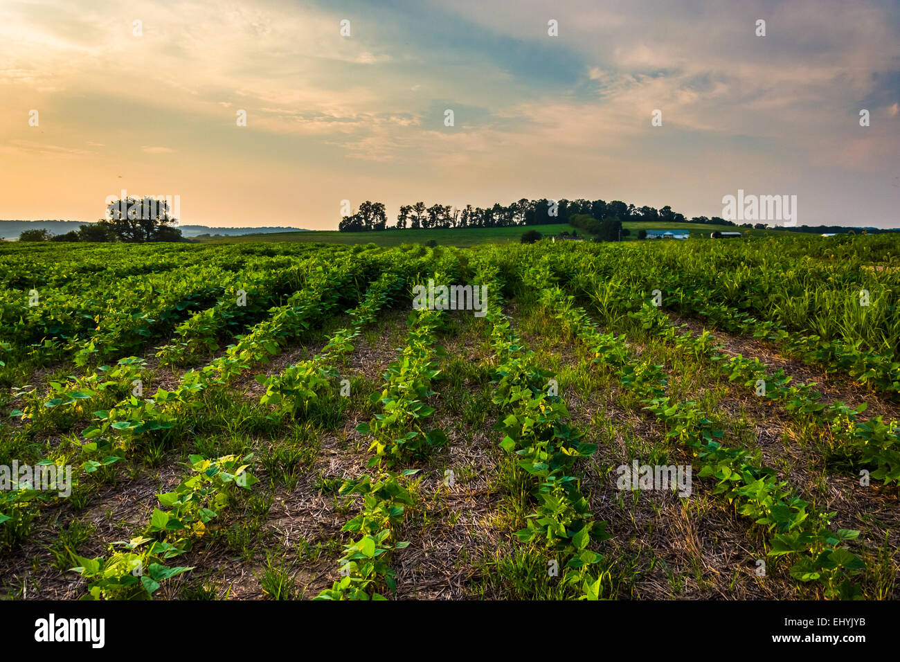 Pennsylvania farming hi-res stock photography and images - Alamy