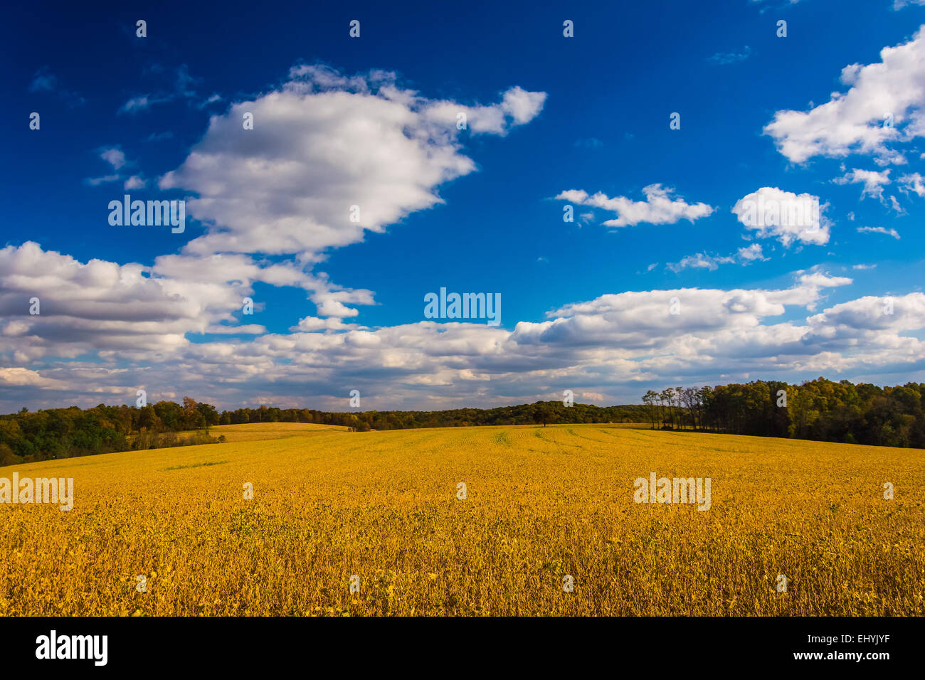 Farm fields in rural York County, Pennsylvania Stock Photo - Alamy