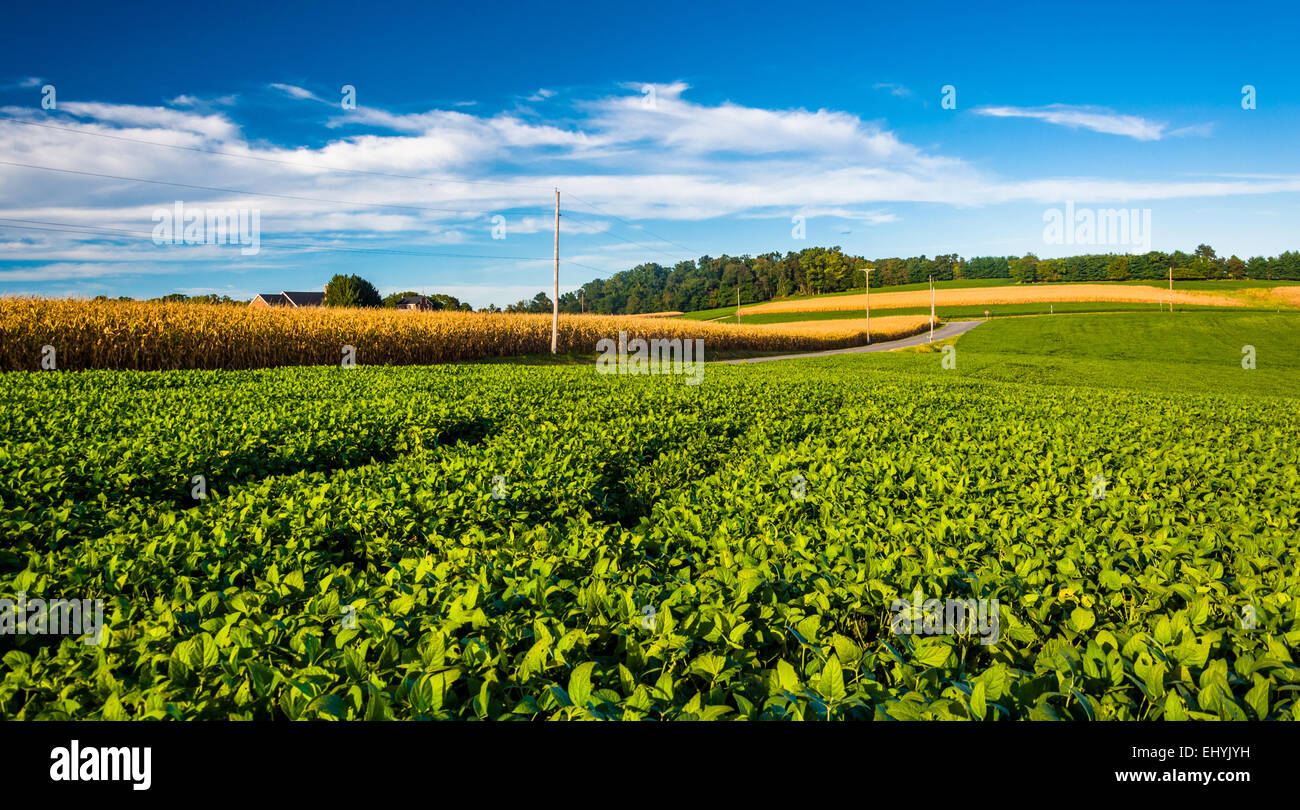Rural pennsylvania crops hi-res stock photography and images - Alamy