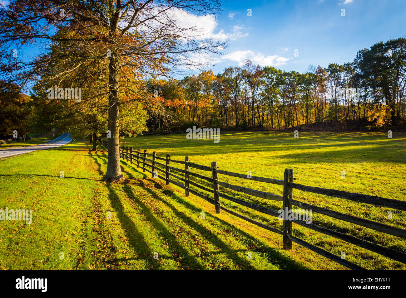 Fence and tree along a country road in rural York County, Pennsylvania ...
