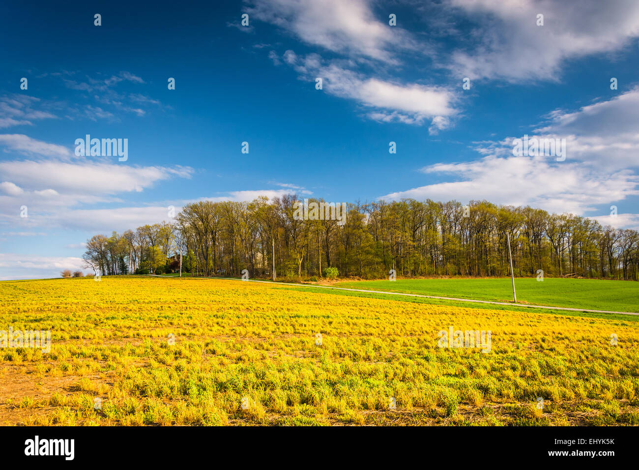 Pennsylvania field hi-res stock photography and images - Alamy