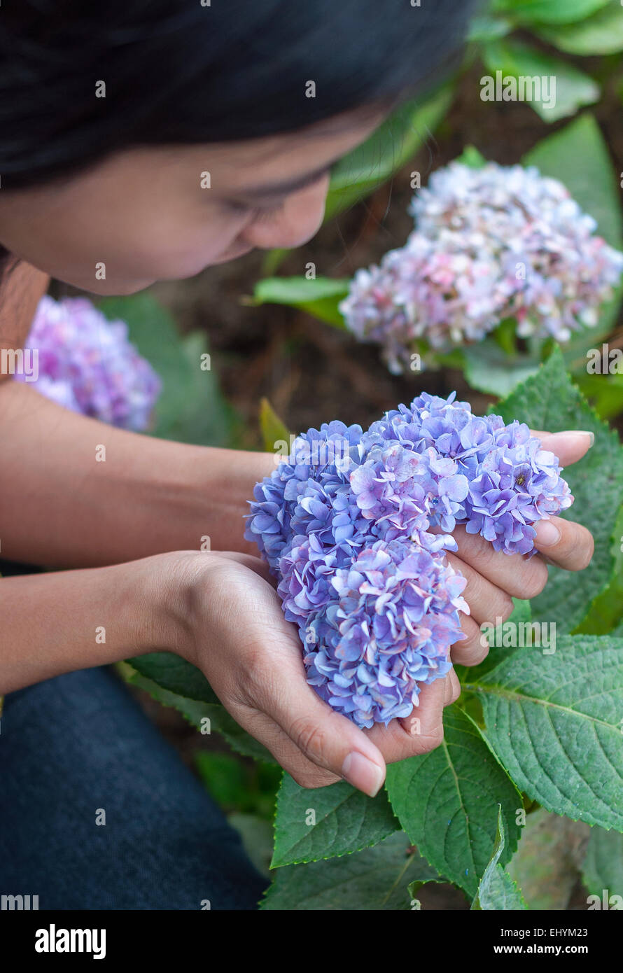 Heart shaped flowers hi-res stock photography and images - Alamy