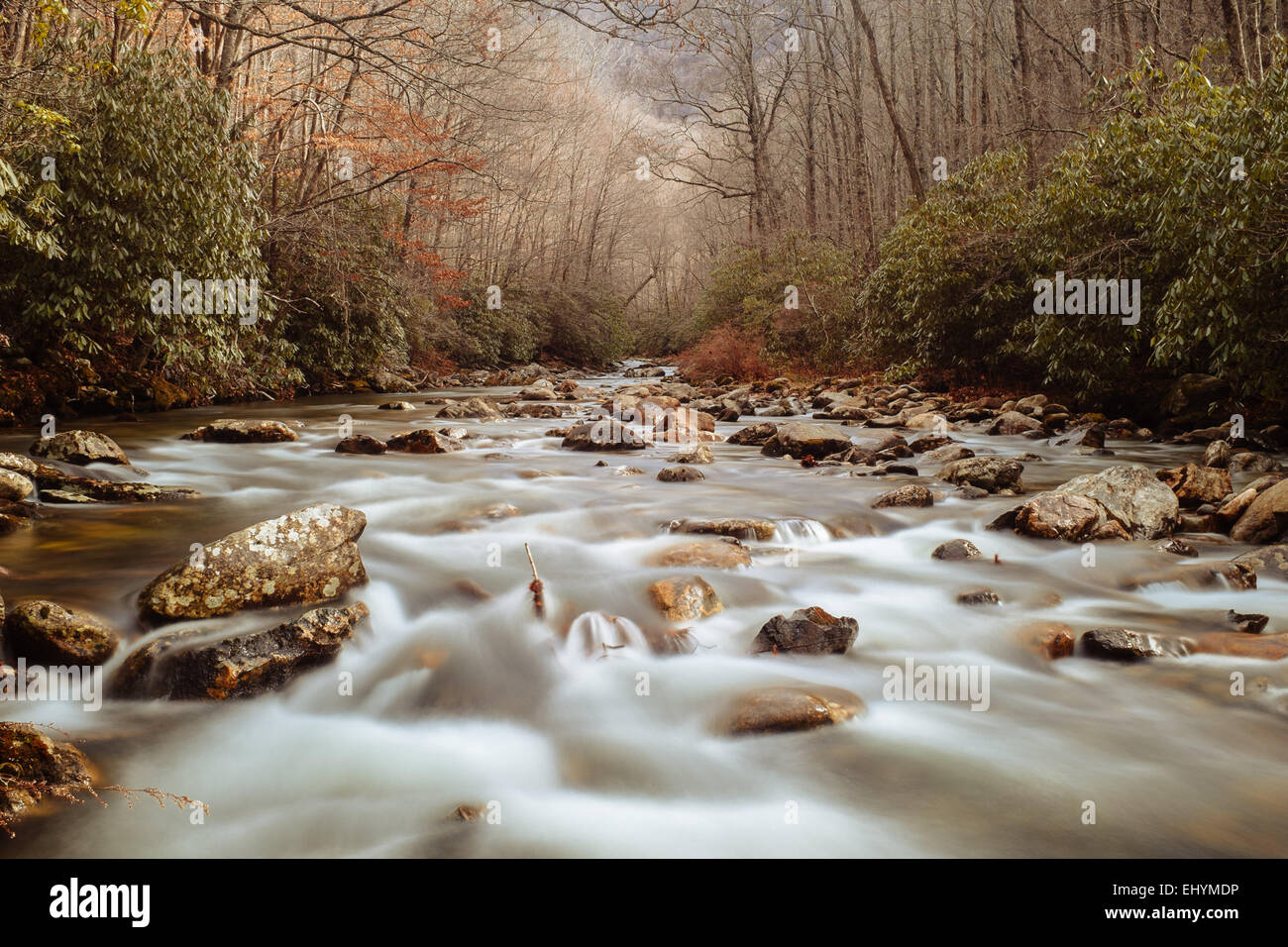 Mountain stream, North Carolina, United States Stock Photo - Alamy