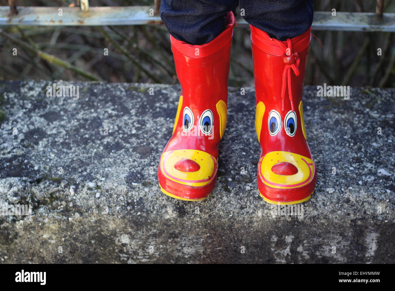 Wellington boots with happy animal face design Stock Photo - Alamy