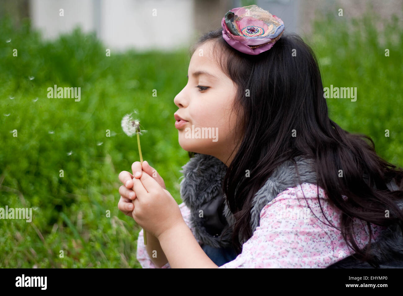 Girl blowing dandelion Stock Photo - Alamy