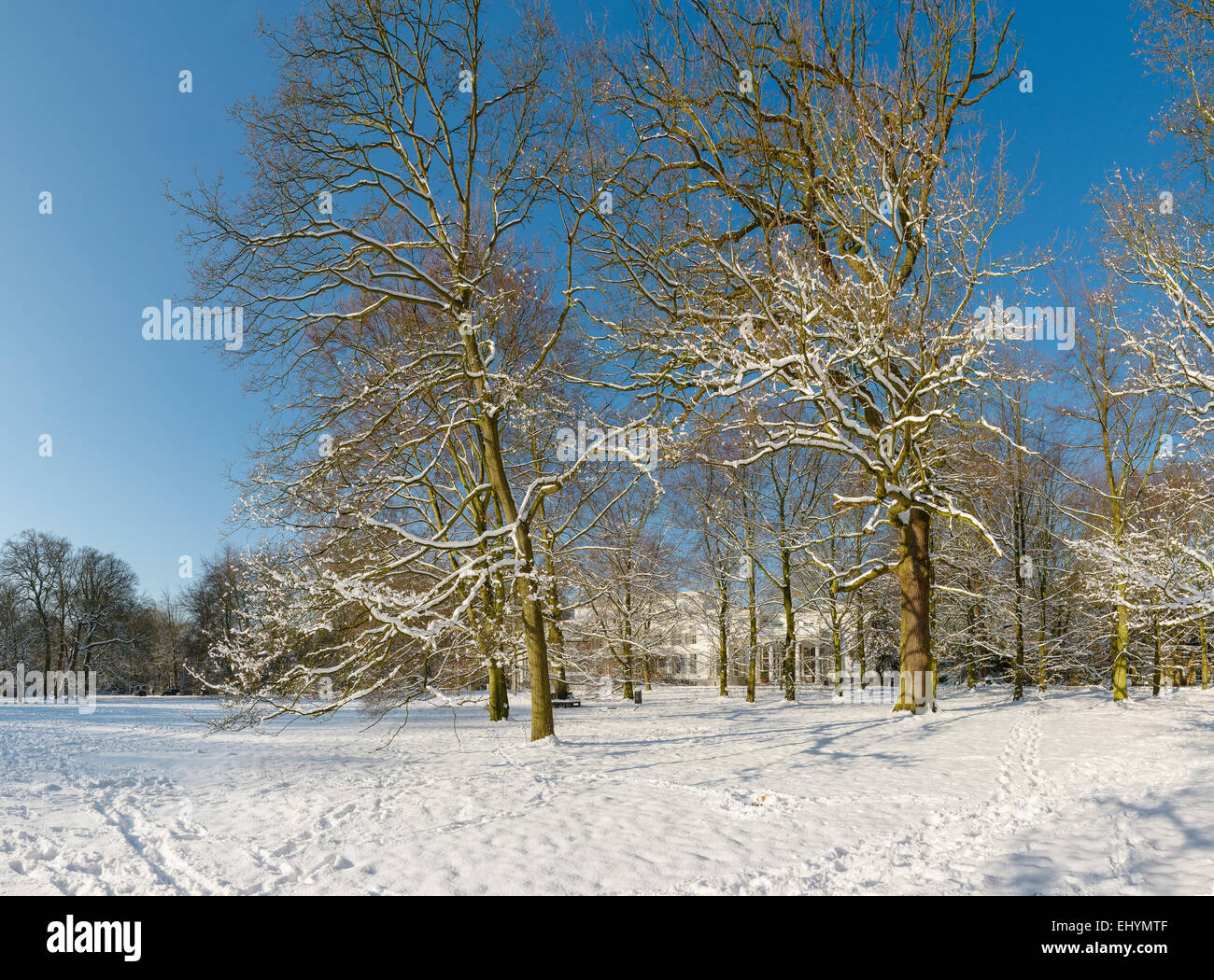 Netherlands, Holland, Europe, Wassenaar, Park, Pauw, estate, landscape ...