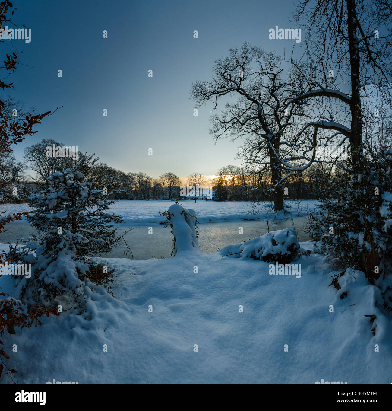 Netherlands, Holland, Europe, Wassenaar, Park, landscape, field, meadow ...