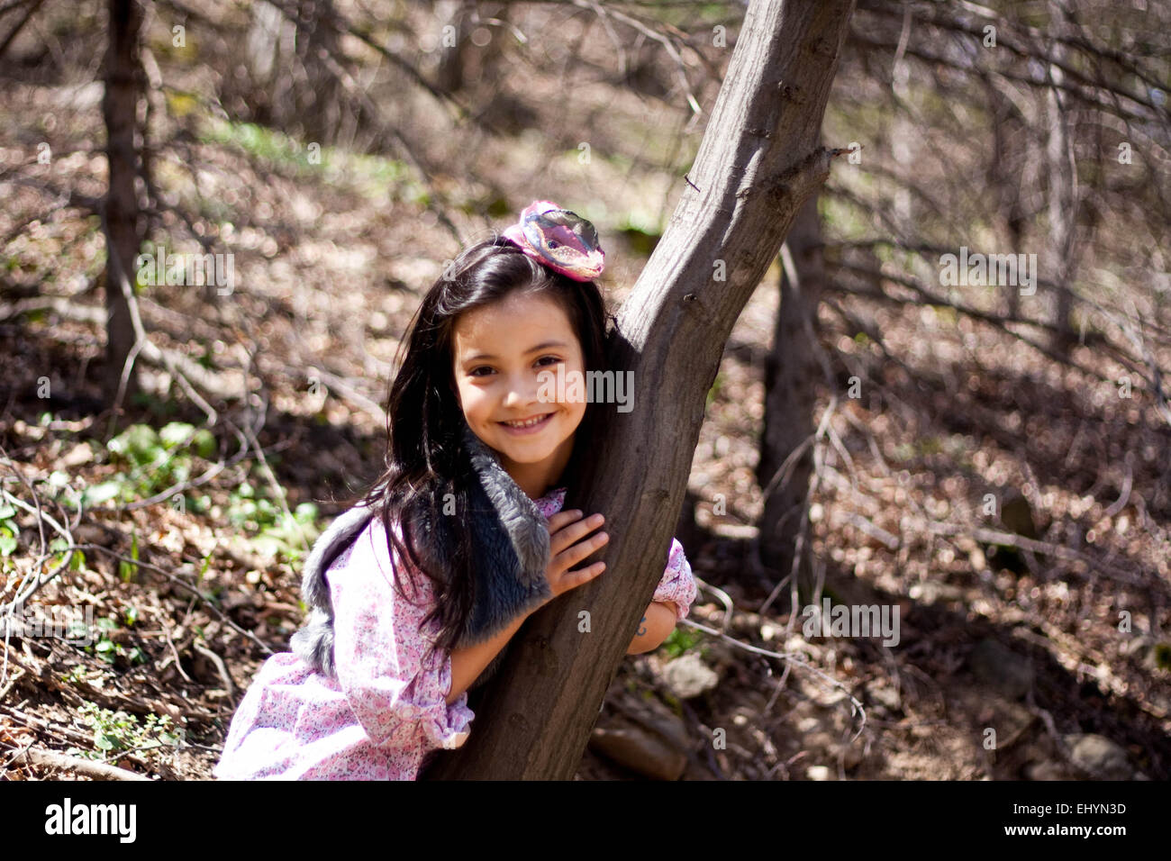 Girl up tree hi-res stock photography and images - Alamy