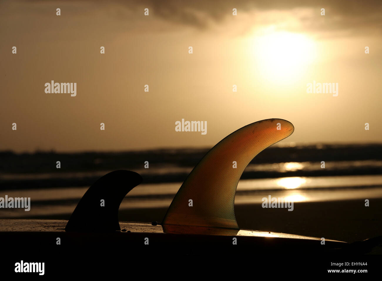 Surfboard Fin Photography