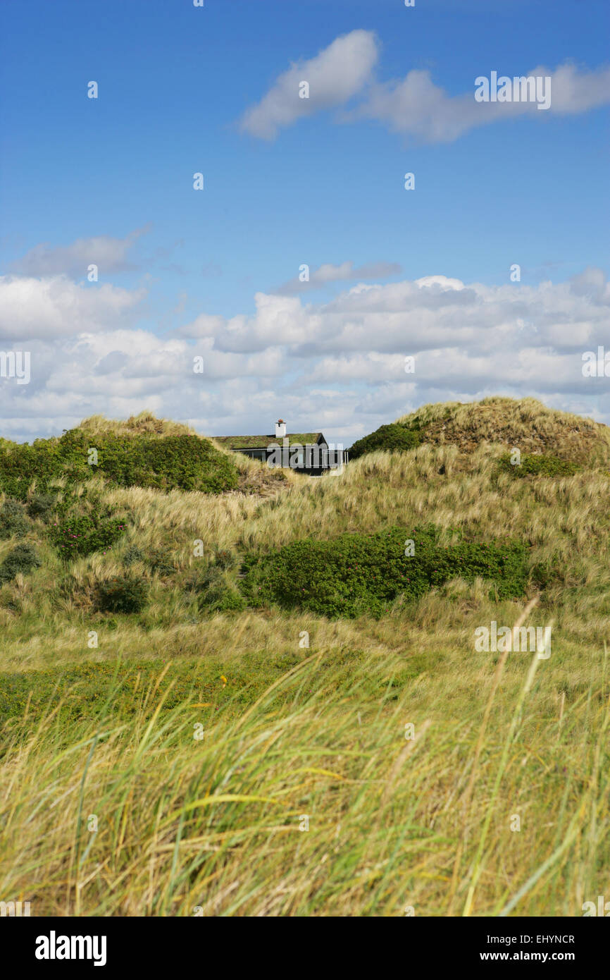 Summerhouse hidden in the dunes, Fanoe, Denmark Stock Photo - Alamy