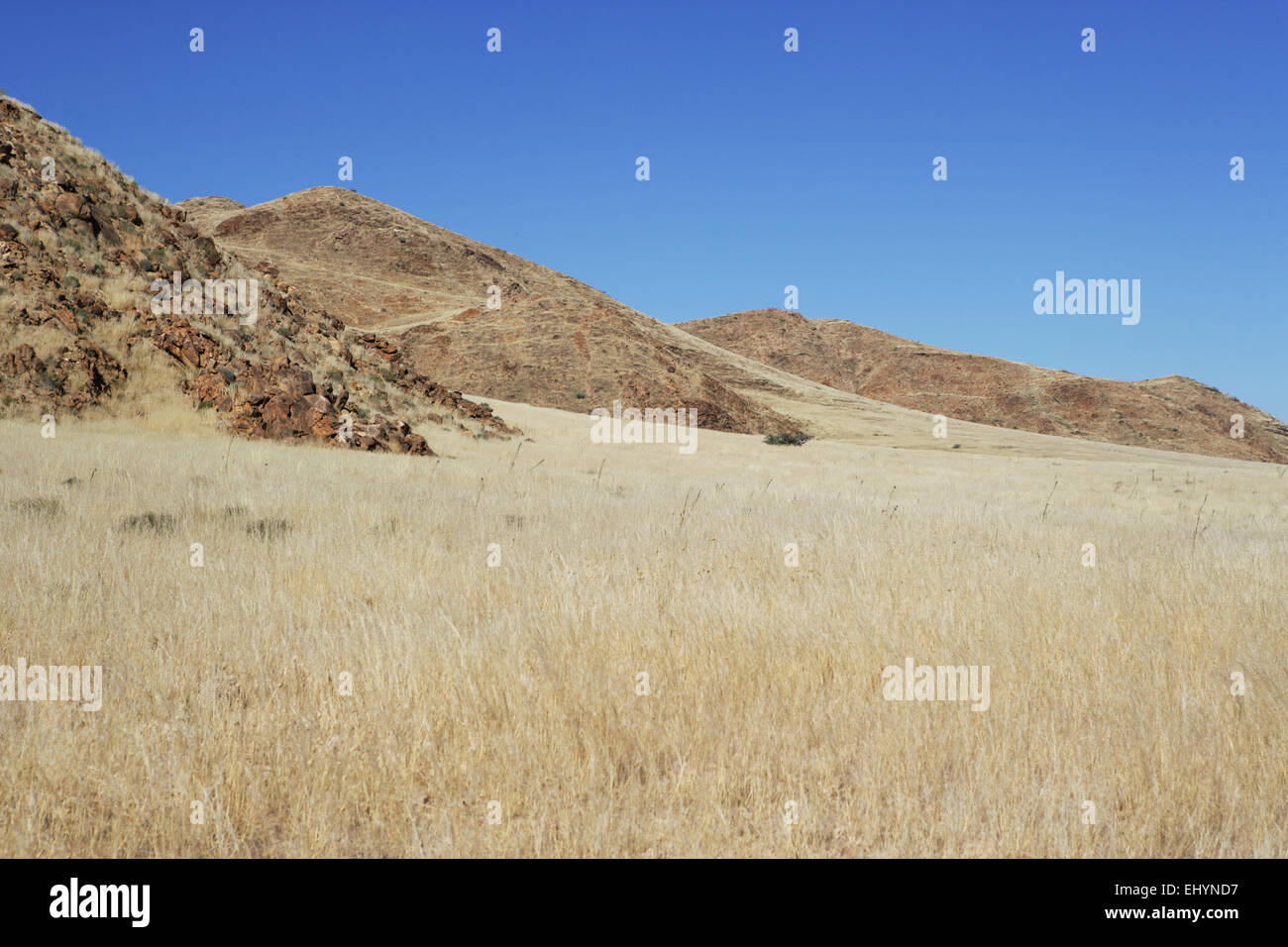 Rural landscape, USA Stock Photo - Alamy