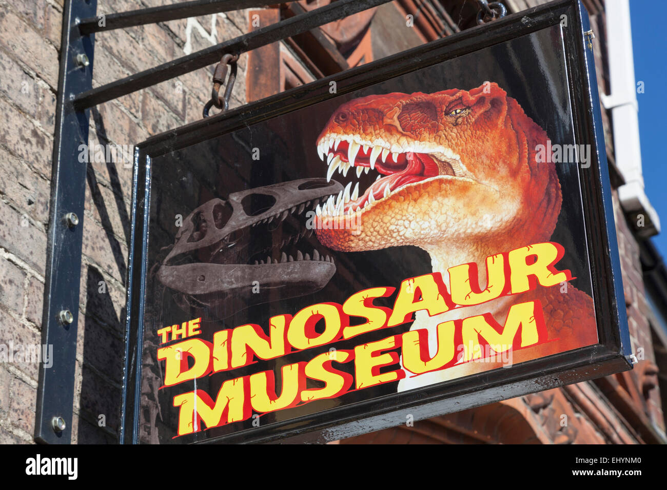 England, Dorset, Dorchester, Dinosaur Museum Sign Stock Photo - Alamy
