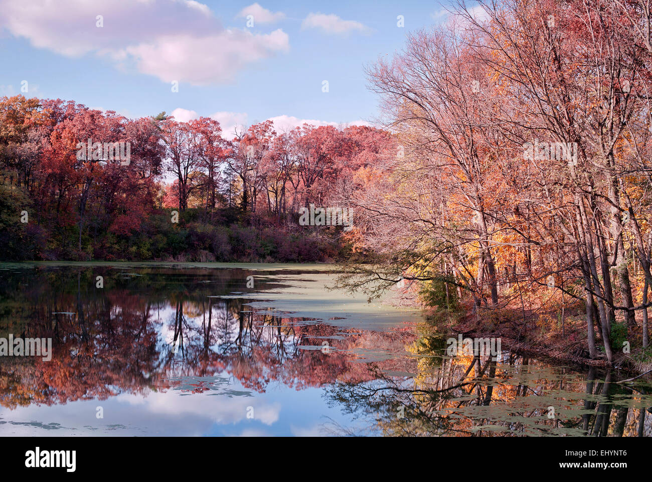 Illinois landscape hi-res stock photography and images - Alamy
