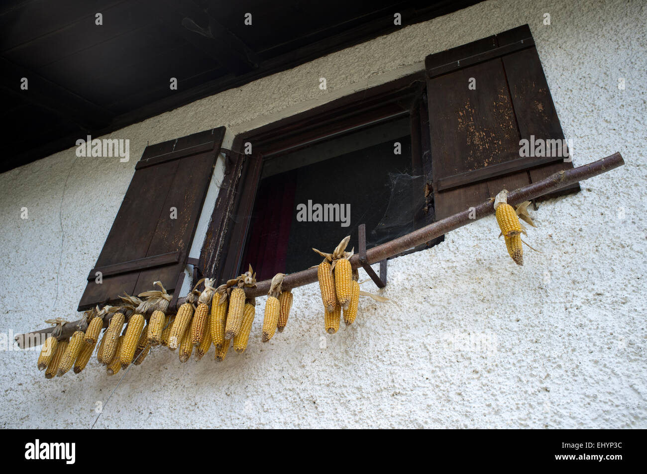 Drying seeds hi-res stock photography and images - Alamy