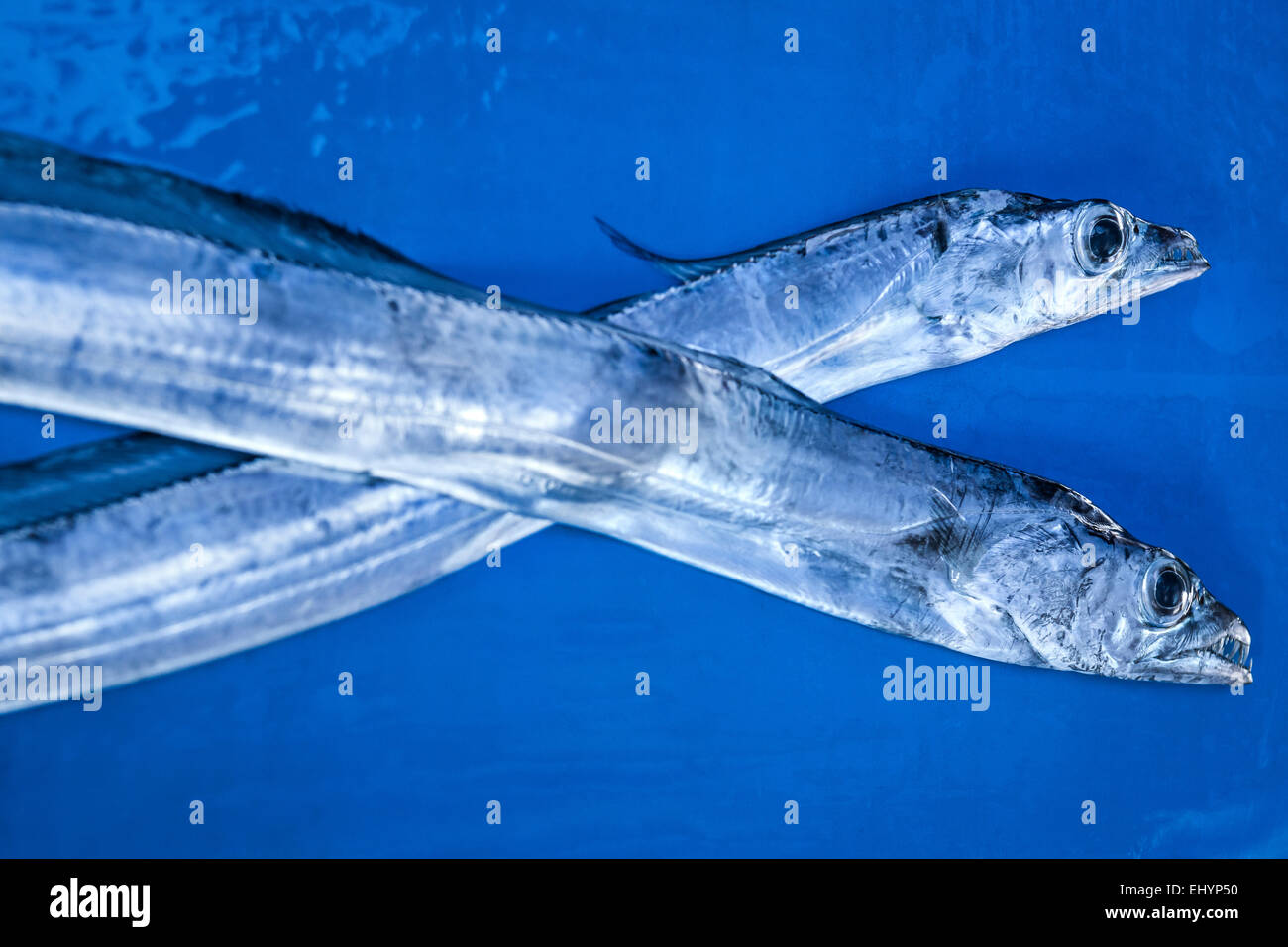Two fish for sale at fish market, West Java, Indonesia Stock Photo - Alamy