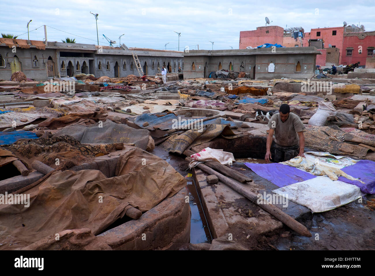 Tanneries (Tannery), outdoor tanning vats, Medina (Old Town), Marrakesh ...