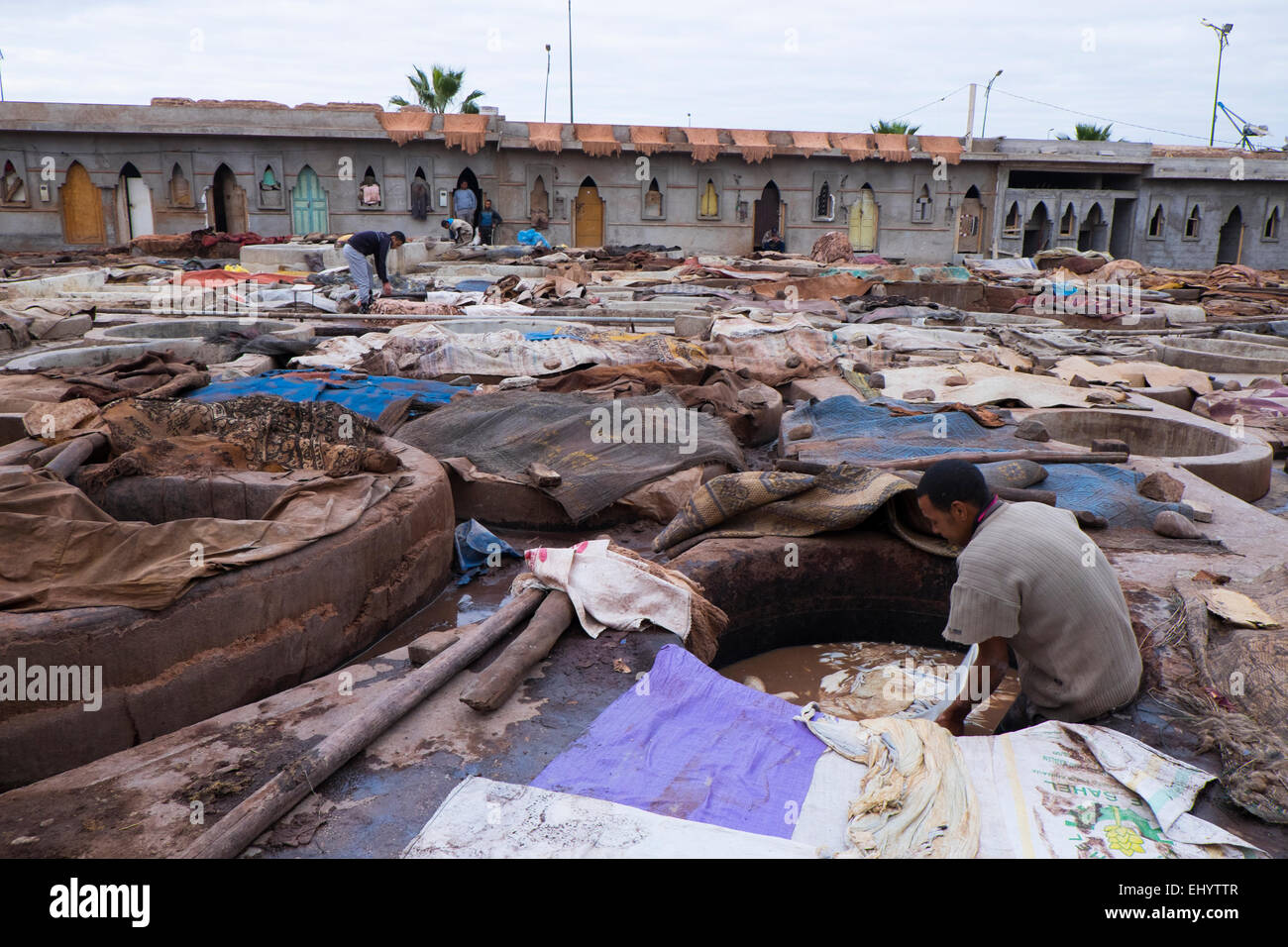 Tanneries (Tannery), outdoor tanning vats, Medina (Old Town), Marrakesh ...