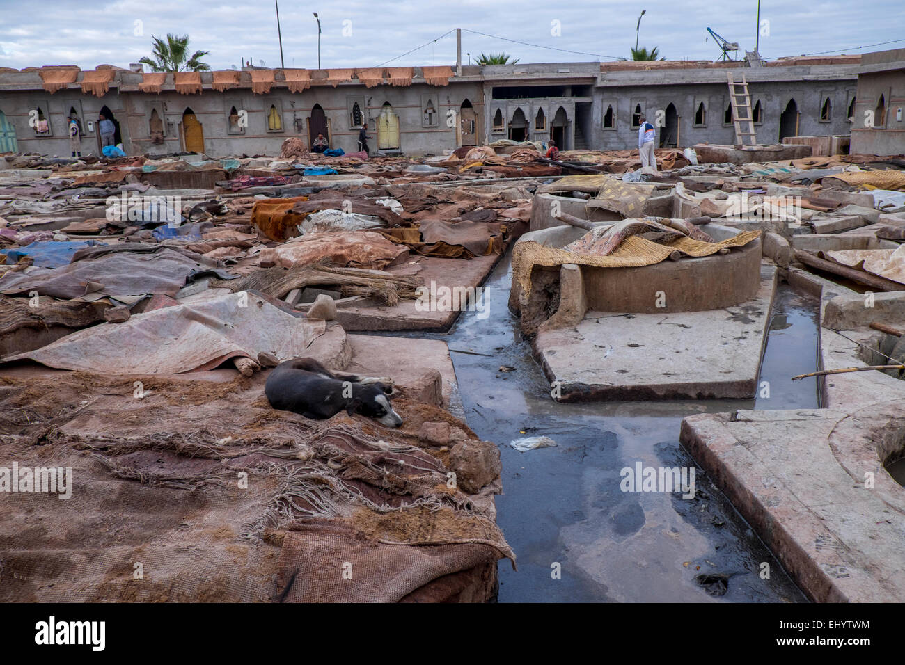 Tanneries (Tannery), outdoor tanning vats, Medina (Old Town), Marrakesh ...