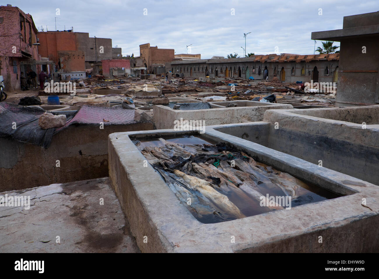 Tanneries (Tannery), outdoor tanning vats, Medina (Old Town), Marrakesh ...
