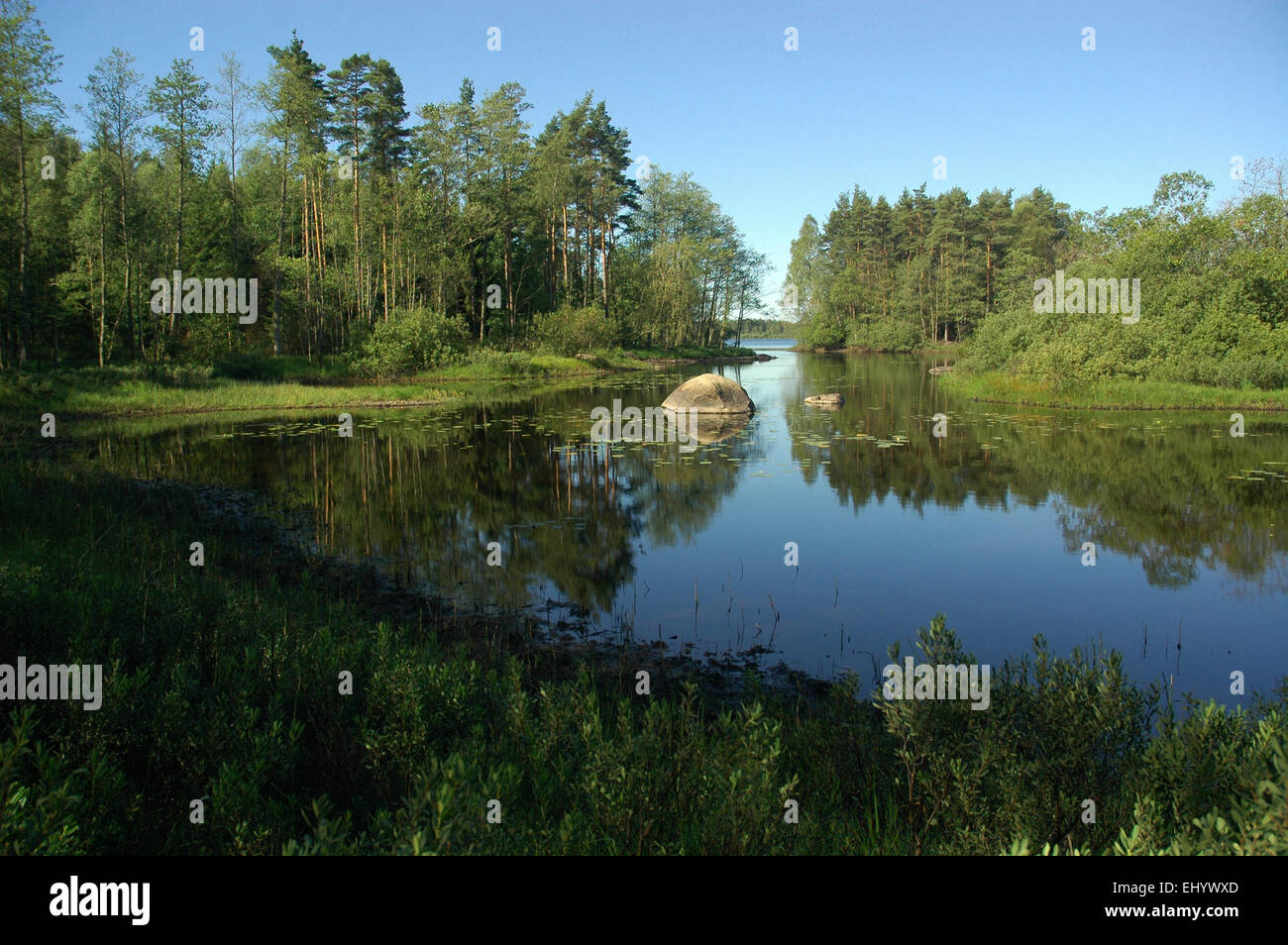 Sweden, Europe, smaland, markaryd, lake, storsjö, wood, forest, summer ...