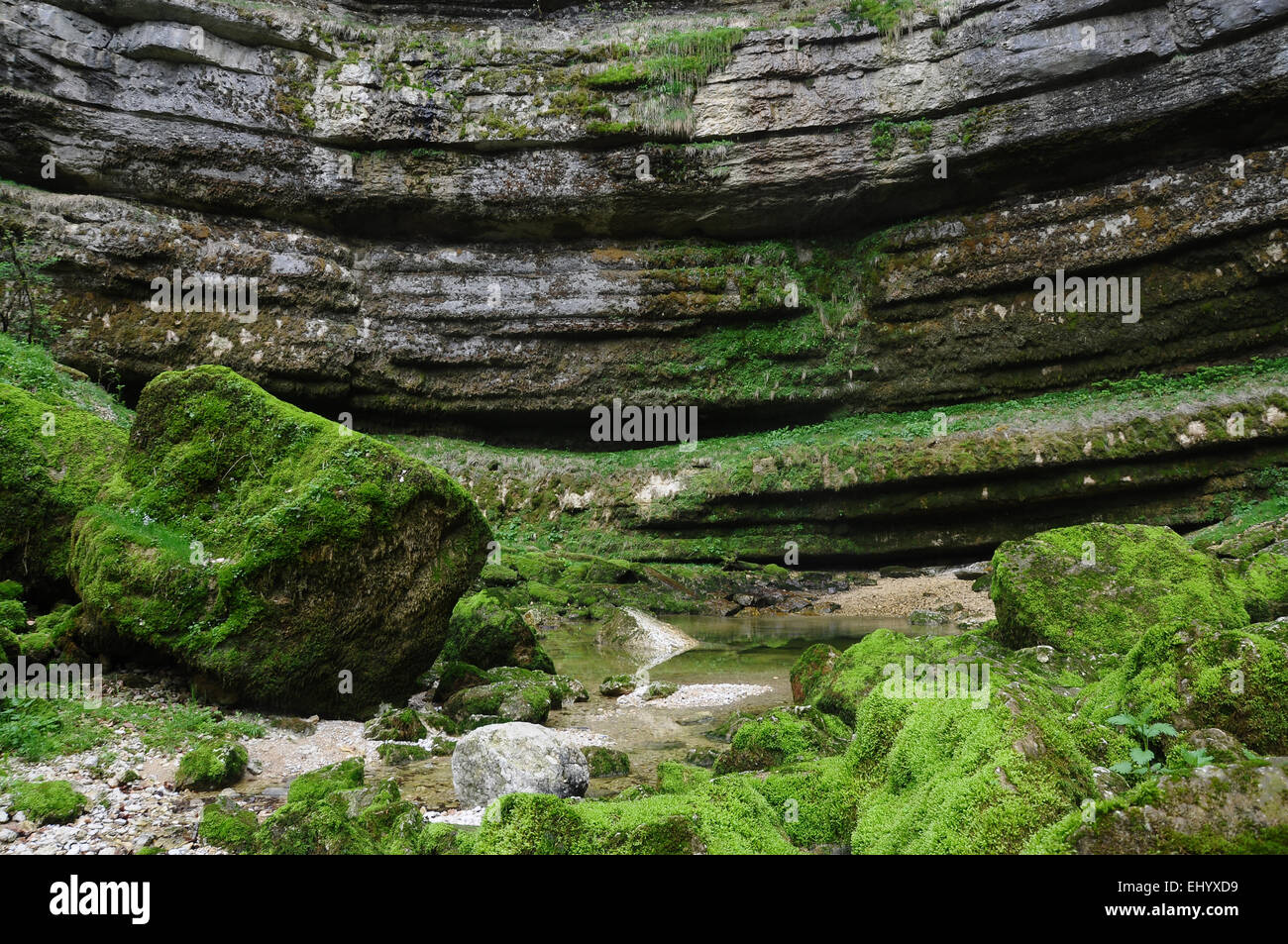 France, Europe, Jura, cirque de consolation, spring, source ...