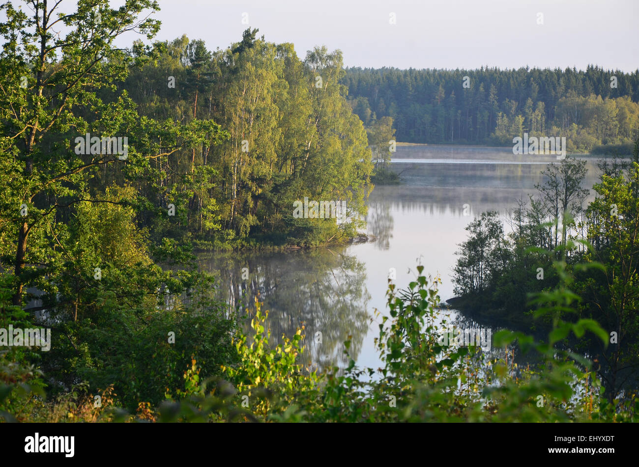 Sweden, Europe, smaland, markaryd, lake, storsjö, island, isle, wood ...