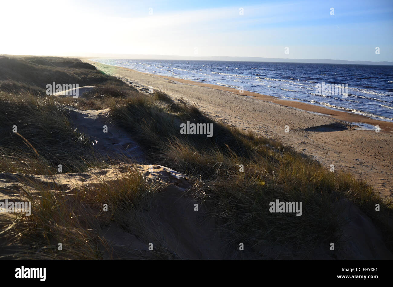 Sweden, Europe, Halland, west coast, mellbystrand, sand beach, coast ...