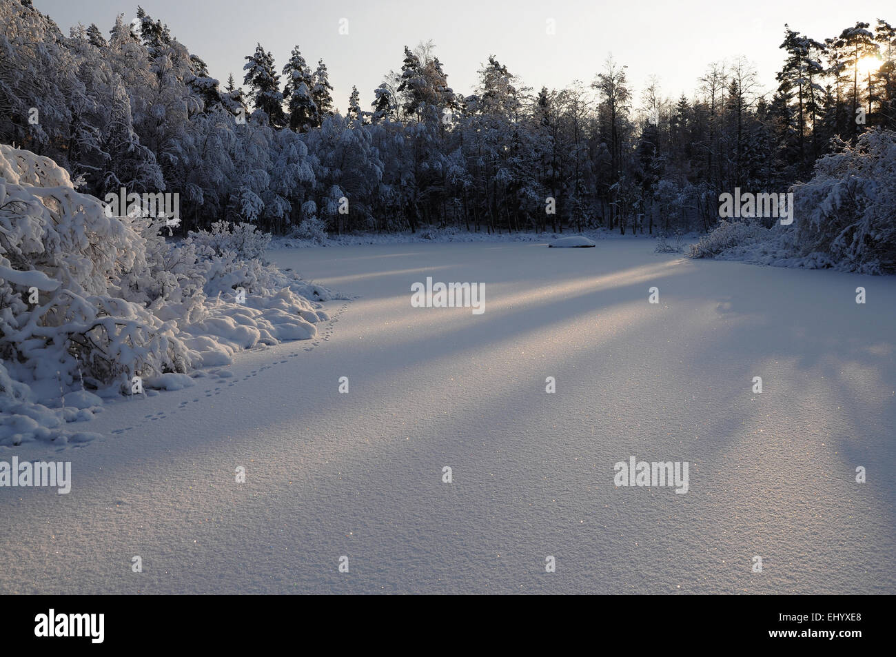 Swedes, Europe, smaland, markaryd, lake, storsjö, snow, froze, winter ...