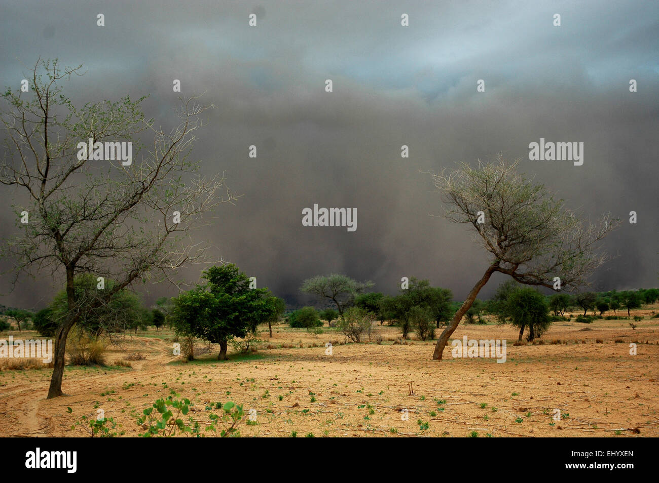 Niger, Africa, Sahel, storm, thunderstorm, sand, Zinder, sand storm ...