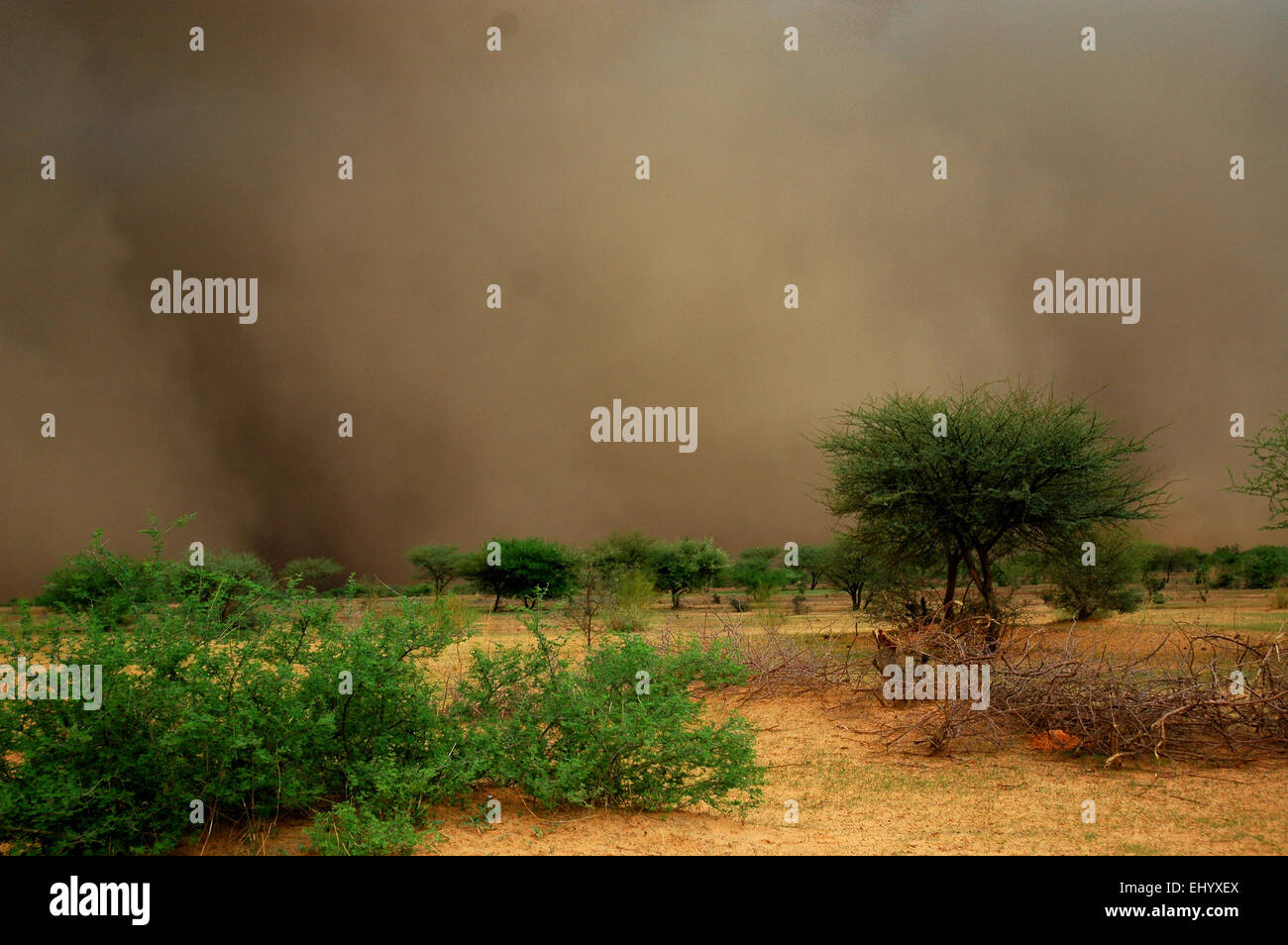 Sahel storm hi-res stock photography and images - Alamy