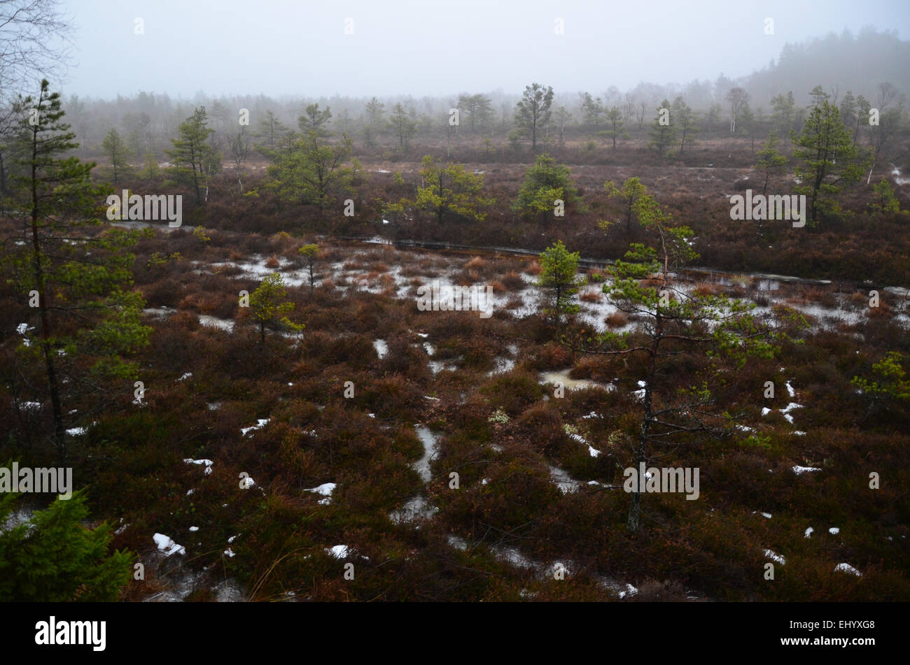 Sweden, Europe, smaland, markaryd, moor, peat, former, peat mining, bog ...