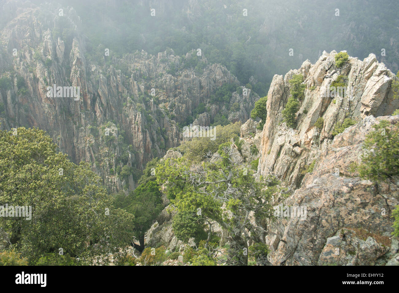 France, Europe, Corsica, gr 20, distance trail, trail, route, grande ...