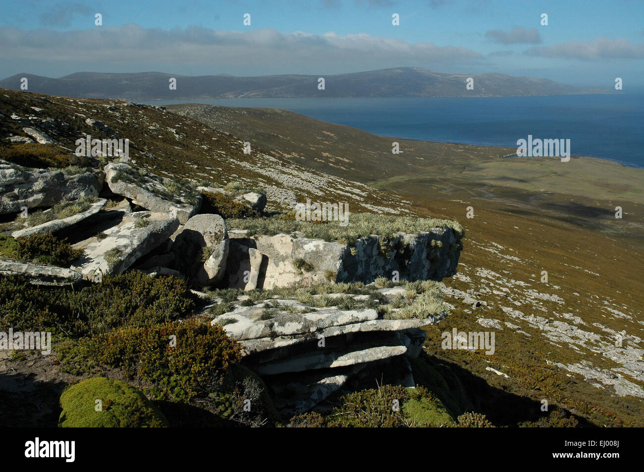 The Falklands, Falkland, South America, saunders Island, mountain, view ...