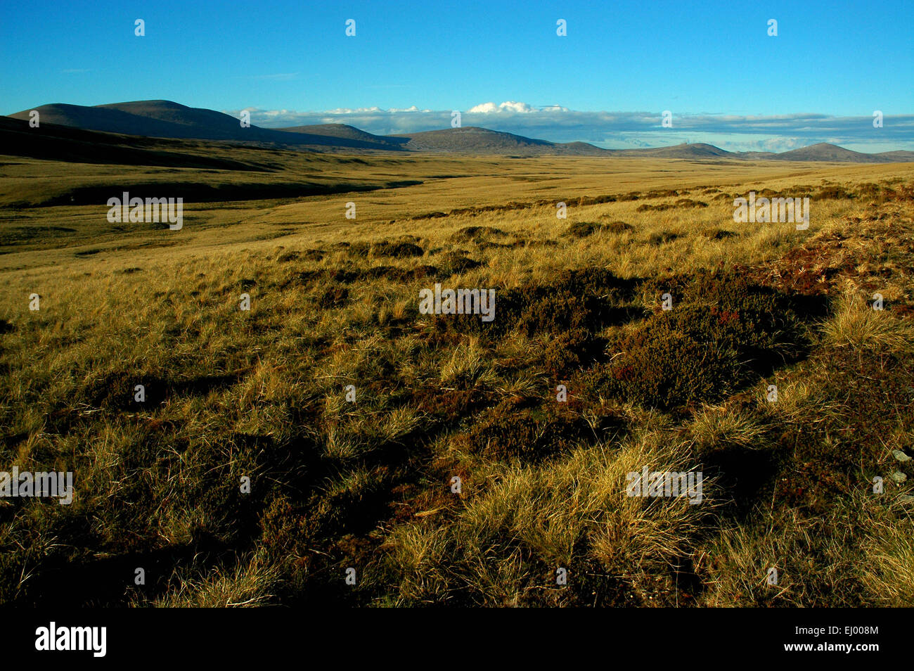 The Falklands, Falkland, South America, west falkland, horizon, skyline ...